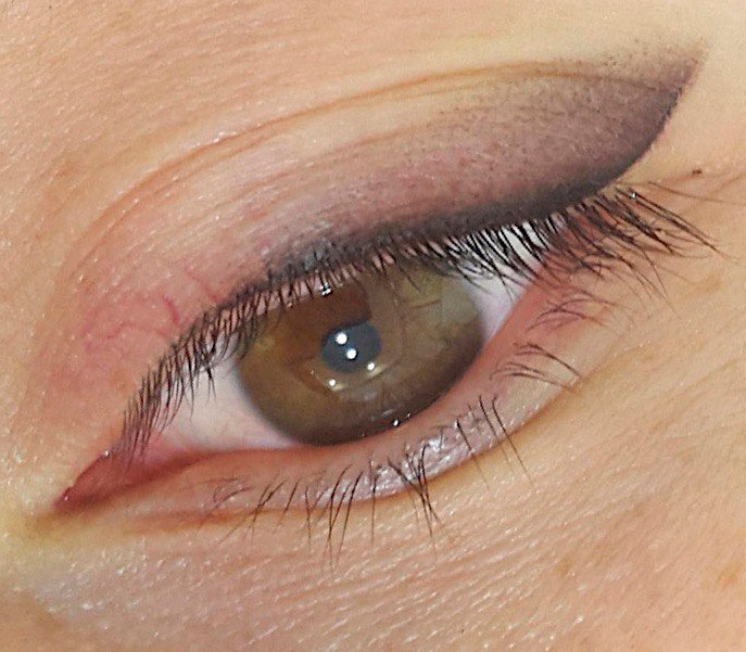 FSDerm | Micropigmentación a tu alcance